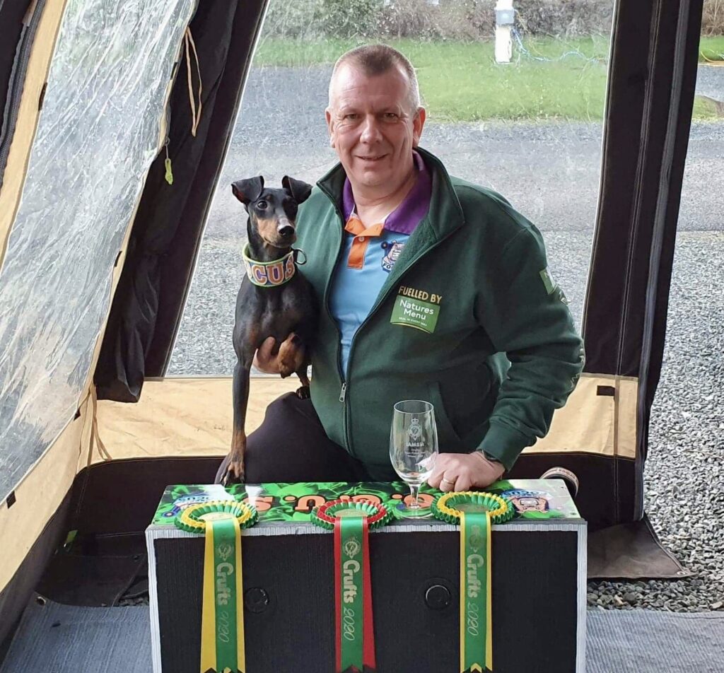 Flyball - The British Manchester Terrier Club